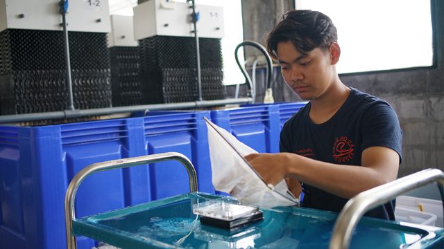 Technology - IAS Belanda - Home of YY technology